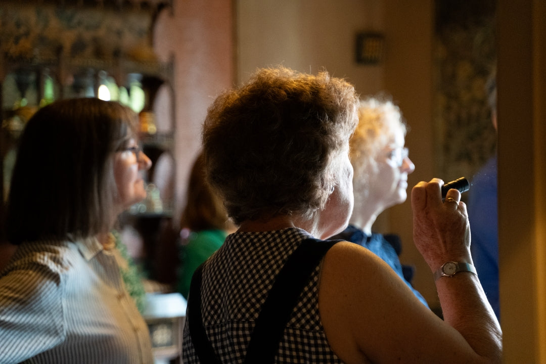 Guided Tour – David Parr House