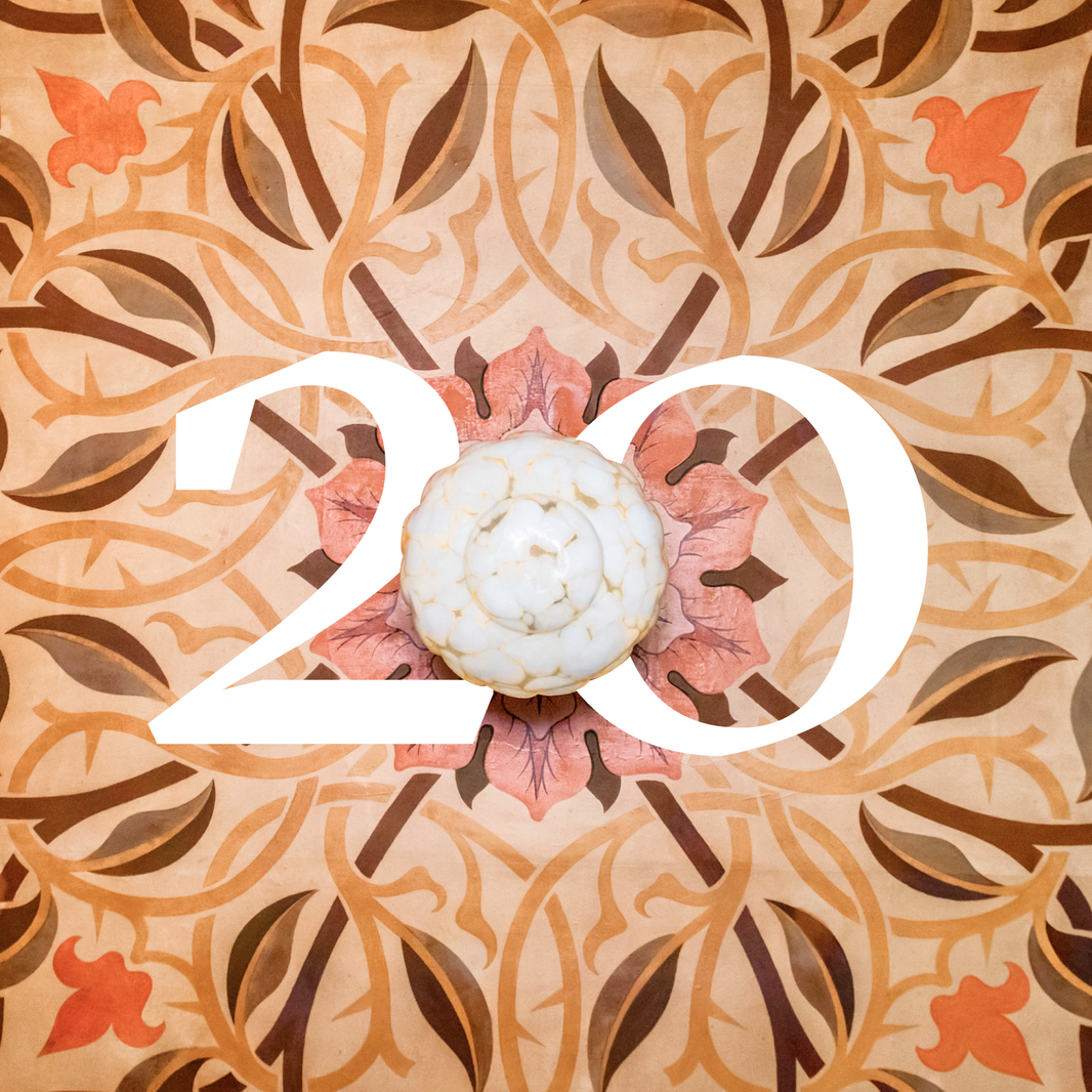 Guided Tour – David Parr House